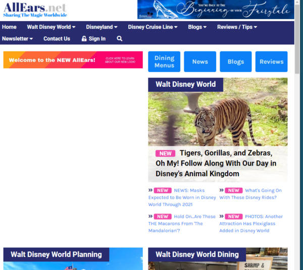 10 of the Best Disney World Blogs - Pixie Dust and Passports