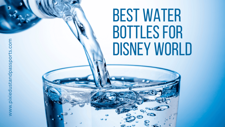 10 Best Water Bottles for Disney World +FAQs! (2024)