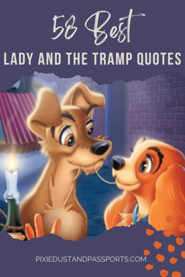 58 Best Lady and the Tramp Quotes! - Pixie Dust and Passports