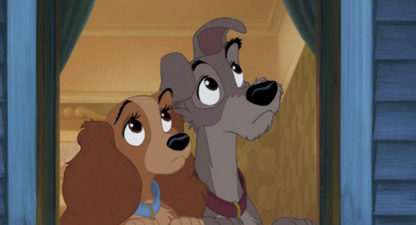 58 Best Lady and the Tramp Quotes! - Pixie Dust and Passports