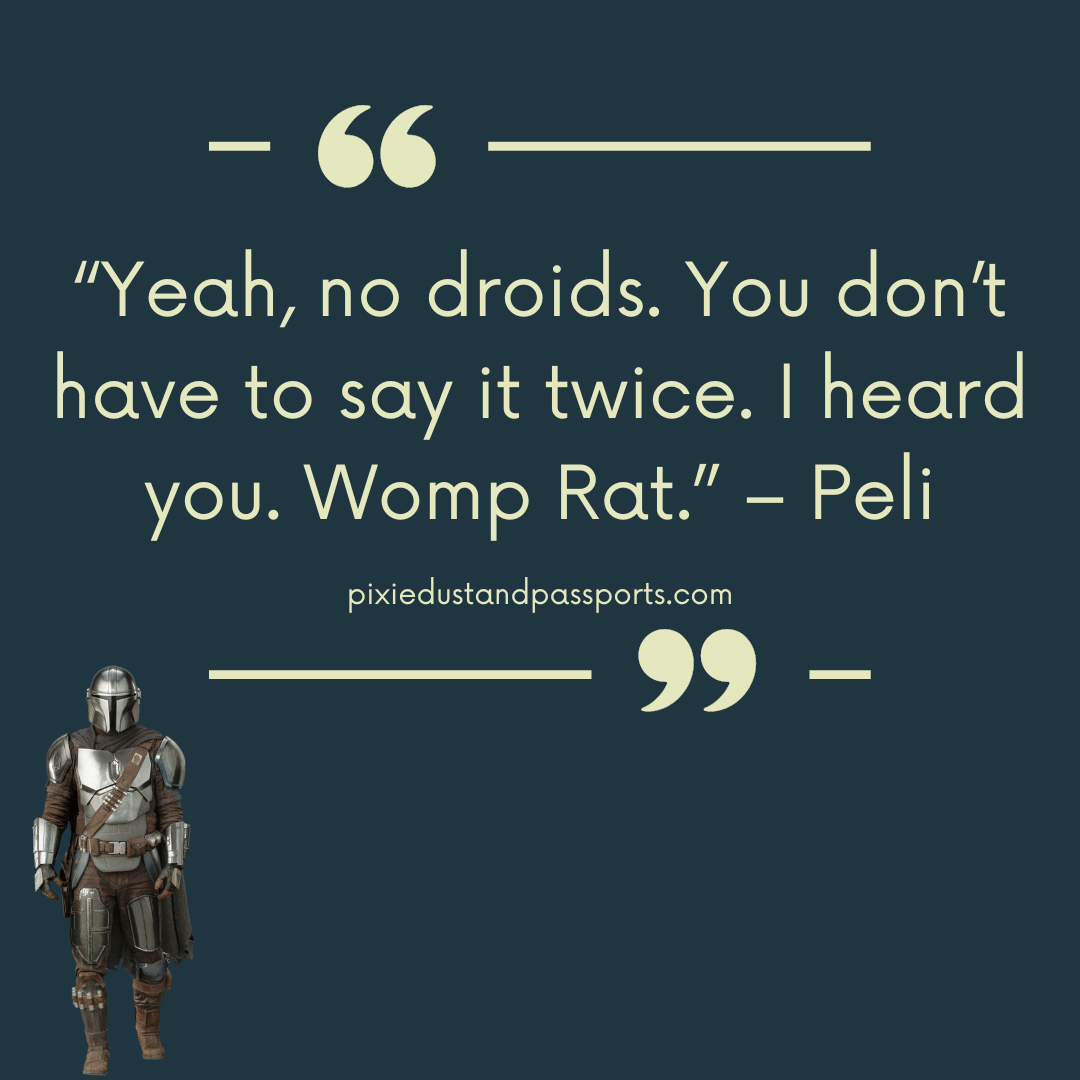 95 Mandalorian Quotes That’ll Make You Start a Rewatch