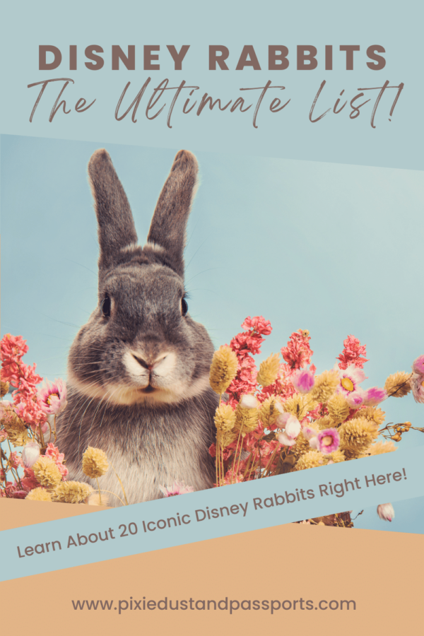 Top 21 Disney Rabbits to Hop Along With! - Pixie Dust and Passports