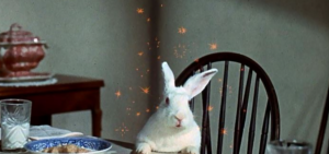 Top 21 Disney Rabbits to Hop Along With! - Pixie Dust and Passports