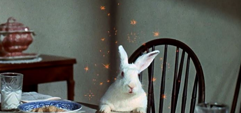 Top 21 Disney Rabbits to Hop Along With! - Pixie Dust and Passports