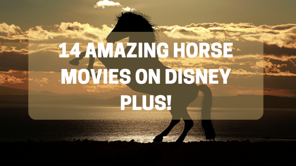 14 Horse Movies on Disney Plus You NEED to Watch!